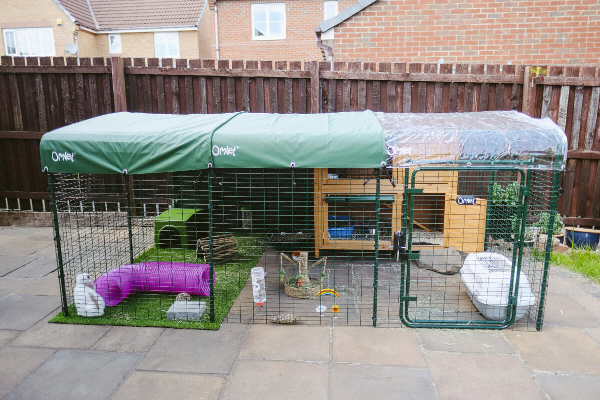 Outdoor Rabbit Run | Rabbit Hutches, Rabbit Runs and Rabbit Tunnels | Omlet