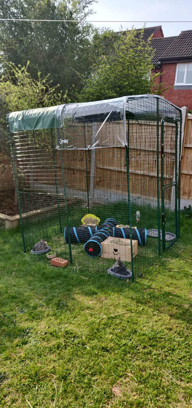 Outdoor Rabbit Run | Rabbit Hutches, Rabbit Runs and Rabbit Tunnels | Omlet