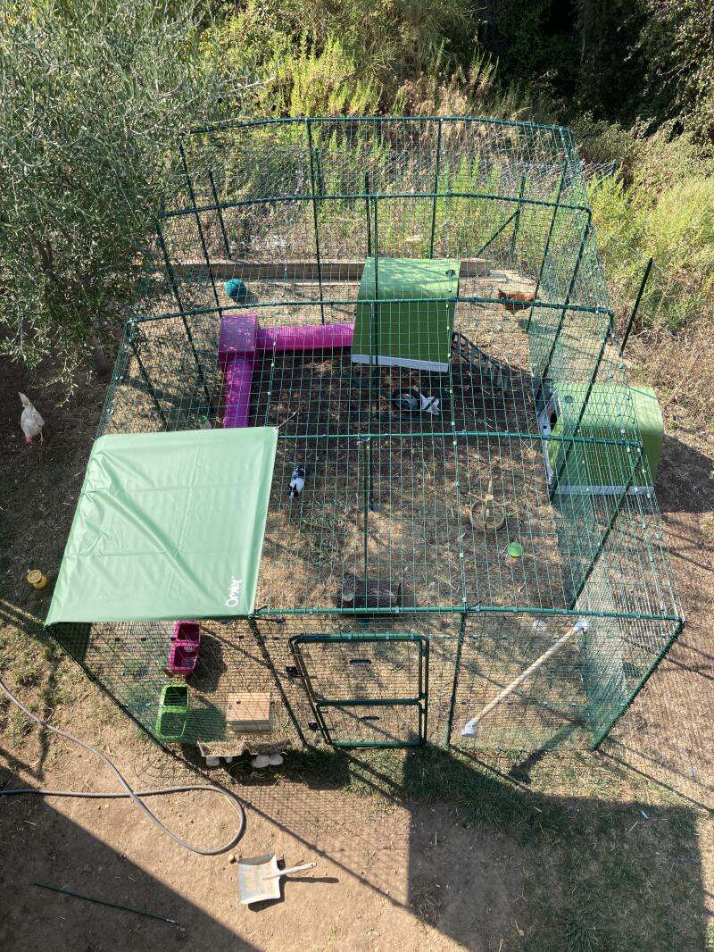 Outdoor Rabbit Run | Rabbit Hutches, Rabbit Runs and Rabbit Tunnels | Omlet