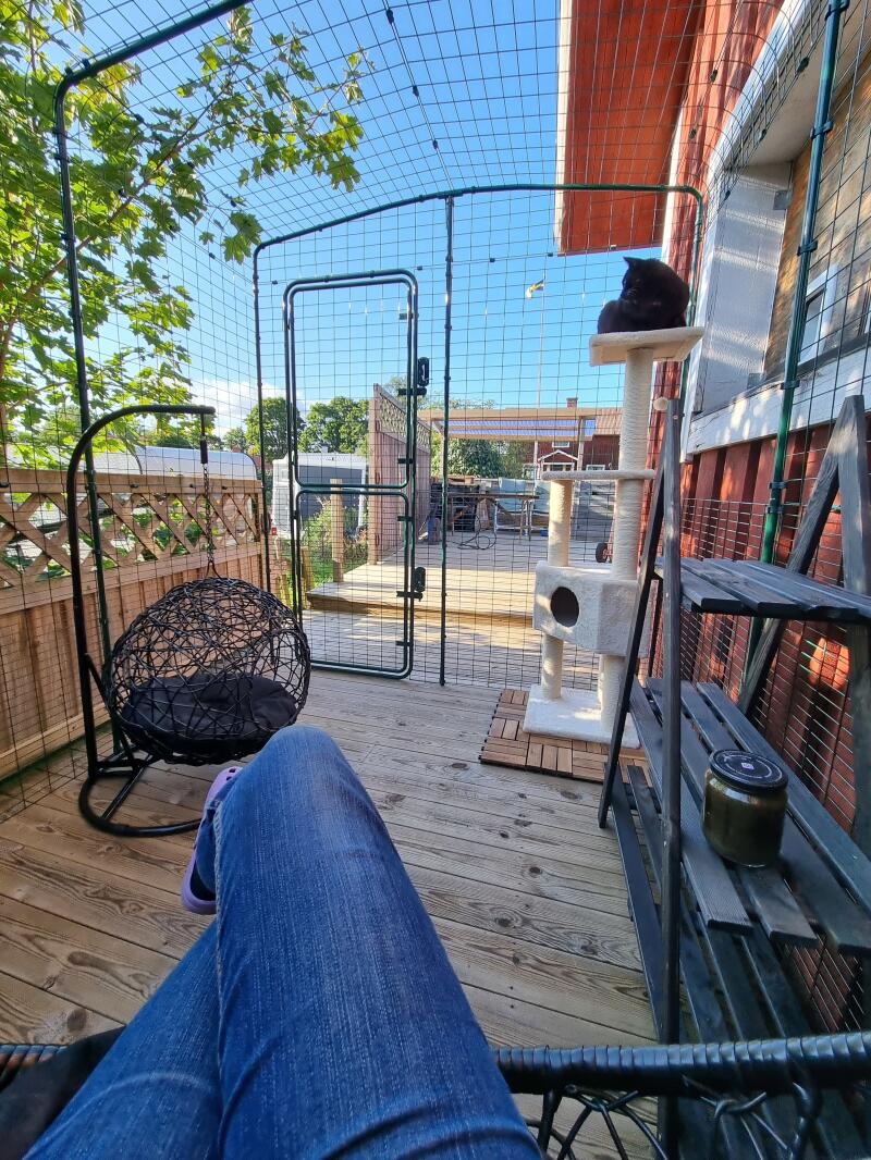 Omlet Outdoor Cat Run | Outdoor Cat Runs, Indoor Cat Houses, Cat Beds ...