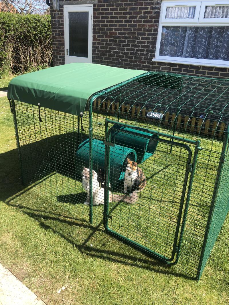 Omlet Outdoor Cat Run | Outdoor Cat Runs, Indoor Cat Houses, Cat Beds ...