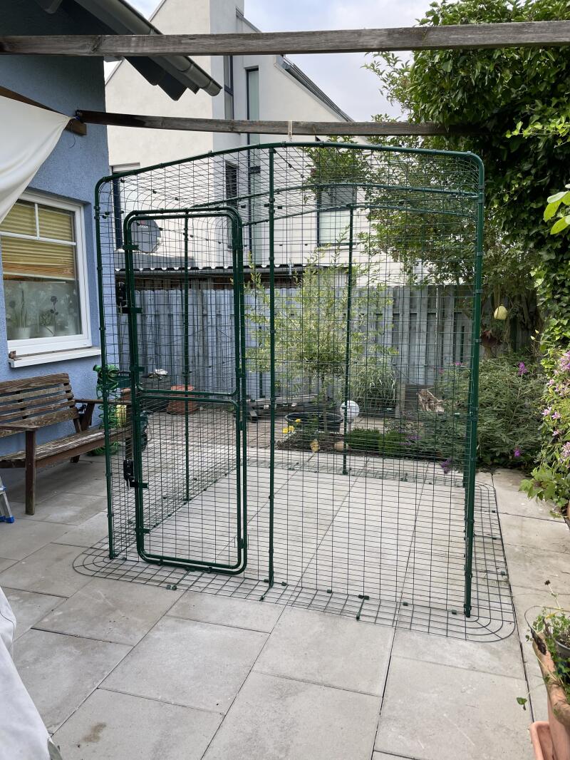 Outdoor Cat Run Ireland at Summer Mannix blog