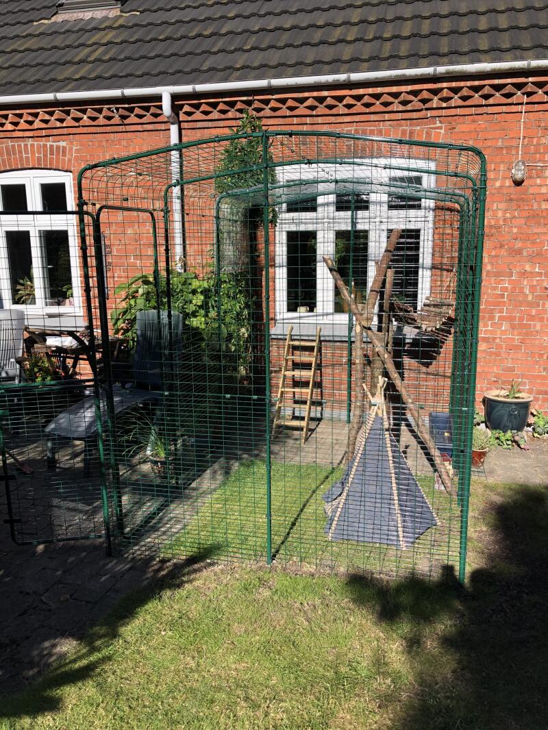 Omlet Outdoor Cat Run | Outdoor Cat Runs, Indoor Cat Houses, Cat Beds ...