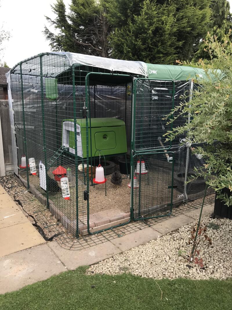 Walk in Chicken Run | Large Outdoor Chicken Enclosure