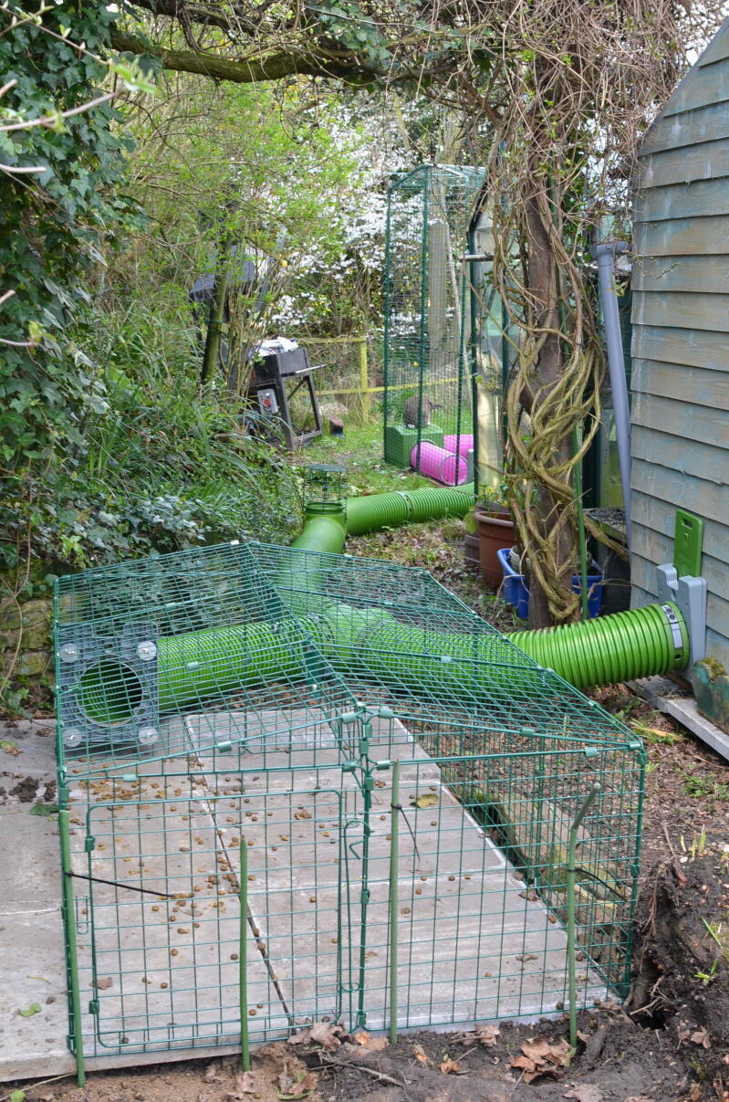 Zippi Rabbit Tunnel System | Omlet