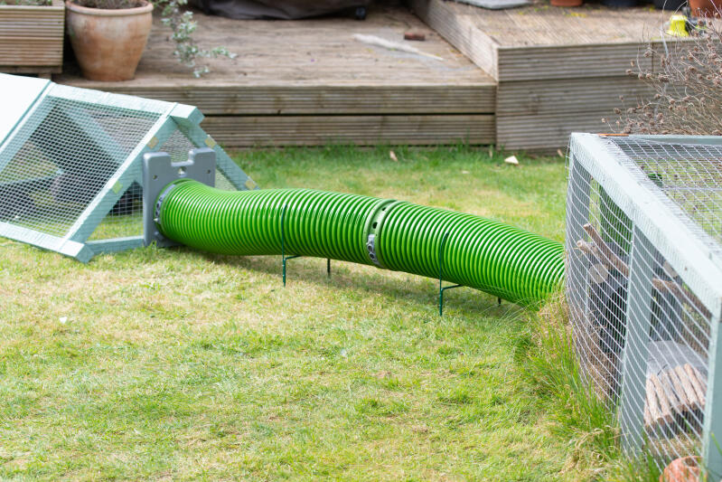 Zippi Rabbit Tunnel System | Omlet