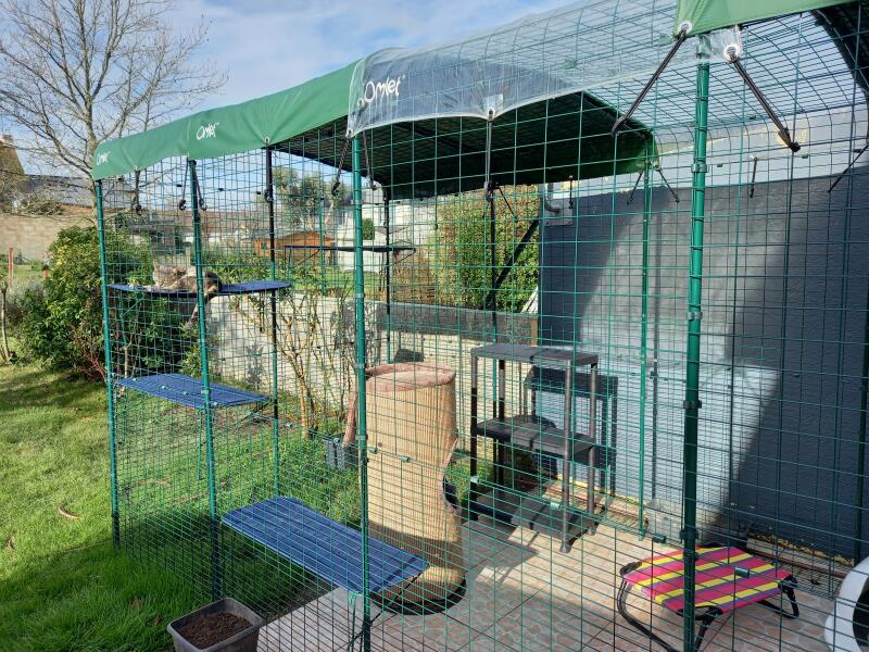 Omlet Outdoor Cat Run | Outdoor Cat Runs, Indoor Cat Houses, Cat Beds ...