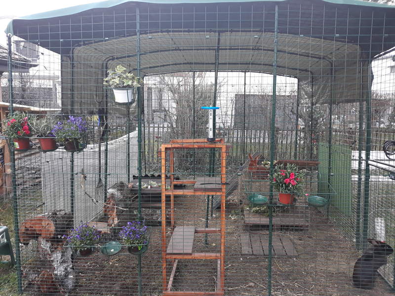 Omlet Outdoor Rabbit Run Extensions | Rabbit Hutches, Rabbit Runs and ...