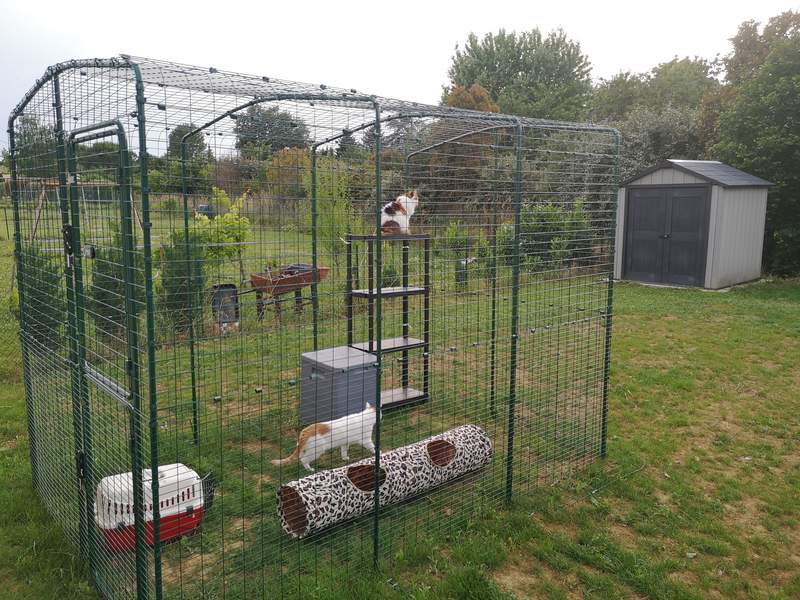 Omlet Outdoor Cat Run | Outdoor Cat Runs, Indoor Cat Houses, Cat Beds ...