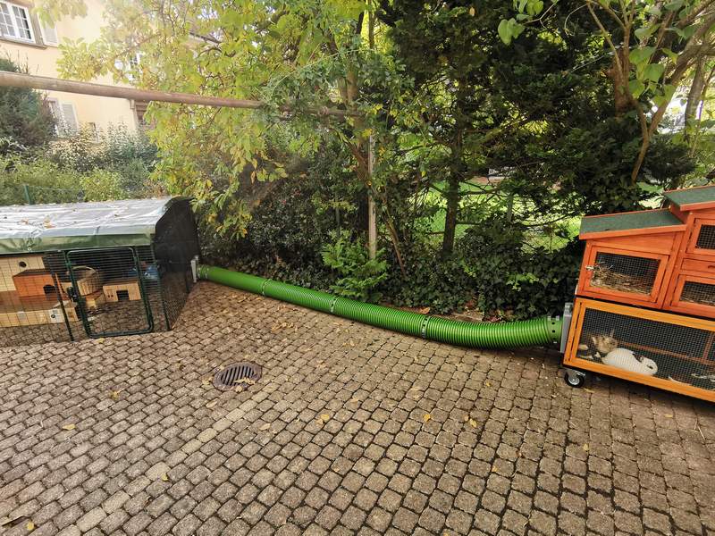 Zippi Rabbit Tunnel System | Omlet