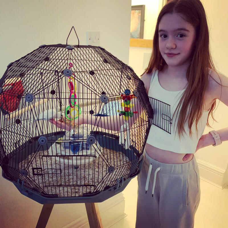 Geo Bird Cage | The Beautiful Geodesic Budgie Cage | Bird Cages, Bird ...