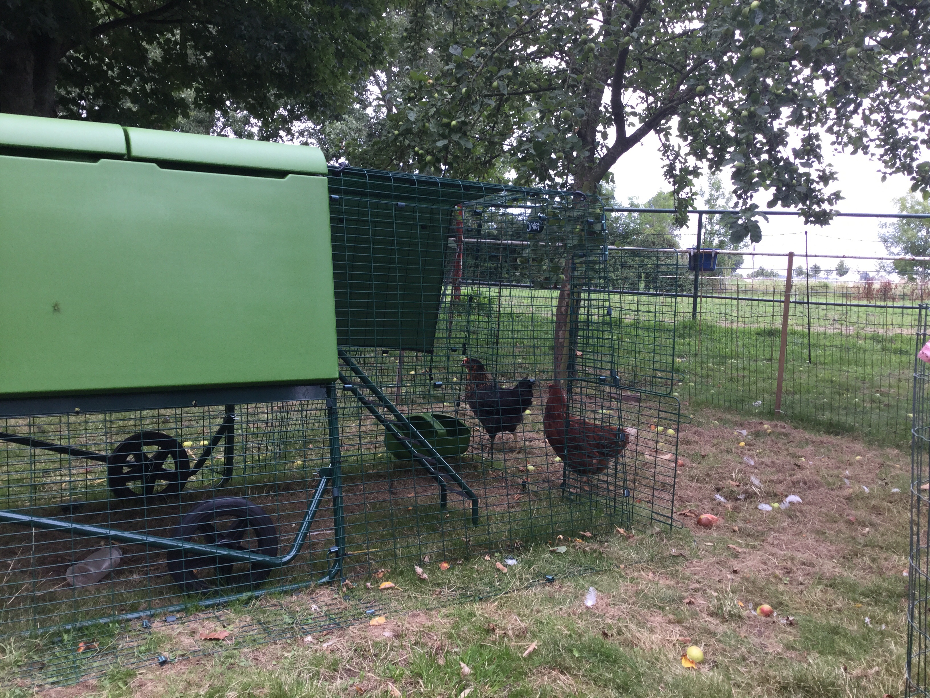 Gallery | Club | Omlet