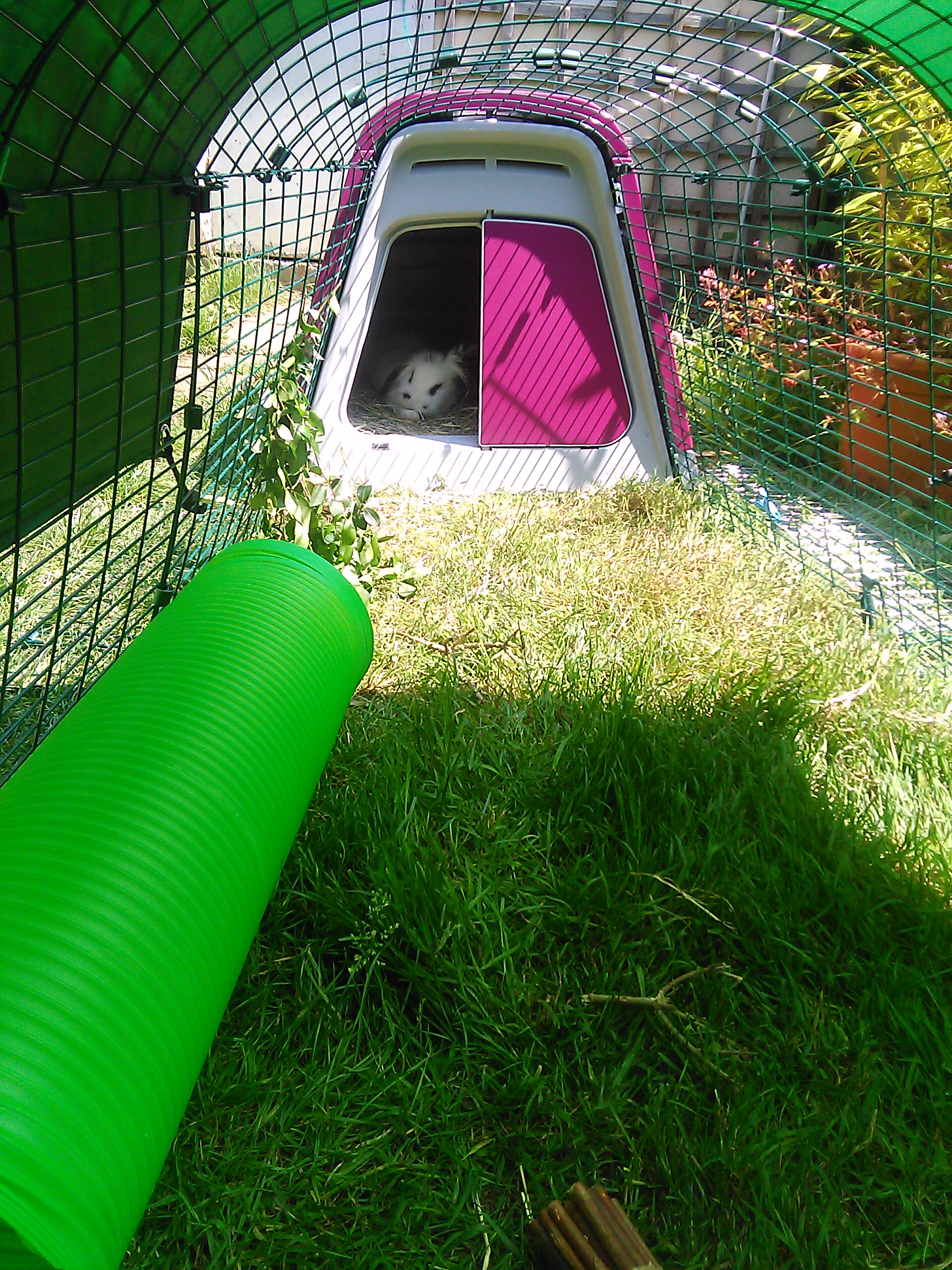 Eglu Go Rabbit Hutch | Rabbit Products | Omlet