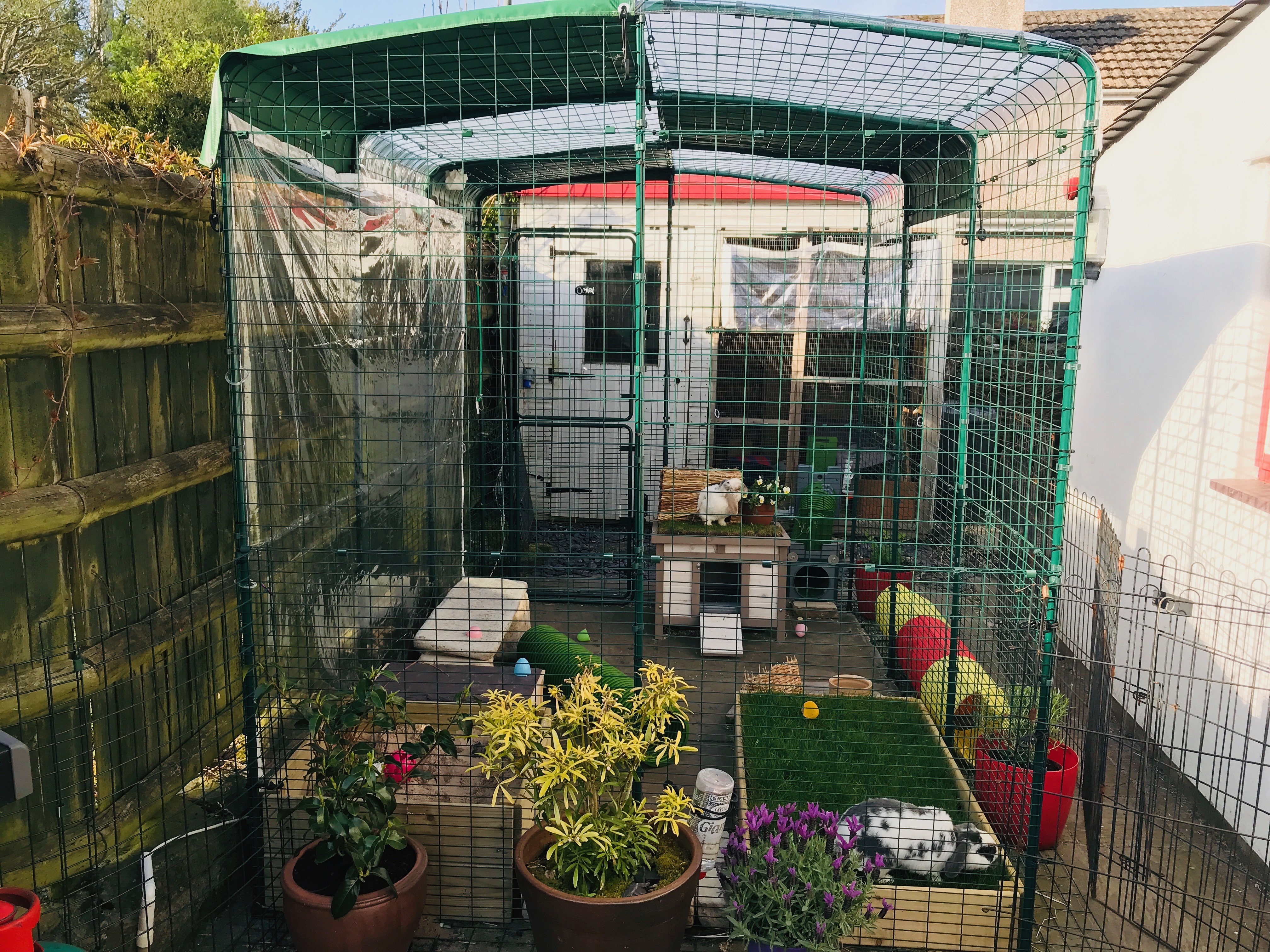 Outdoor Rabbit Run | Rabbit Hutches, Rabbit Runs and Rabbit Tunnels | Omlet